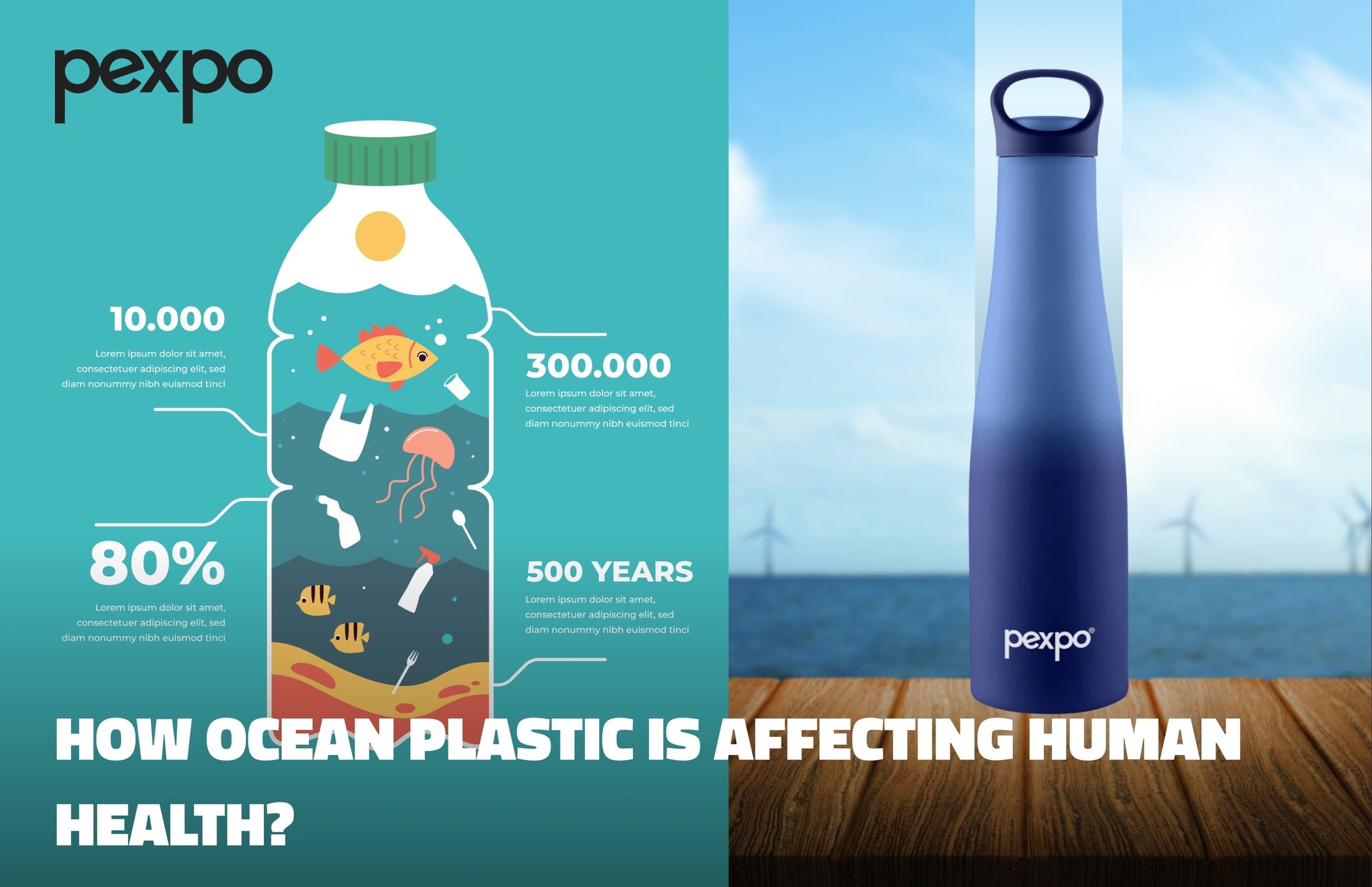 How Ocean Plastic is Affecting Human Health – Pexpo – pexpo