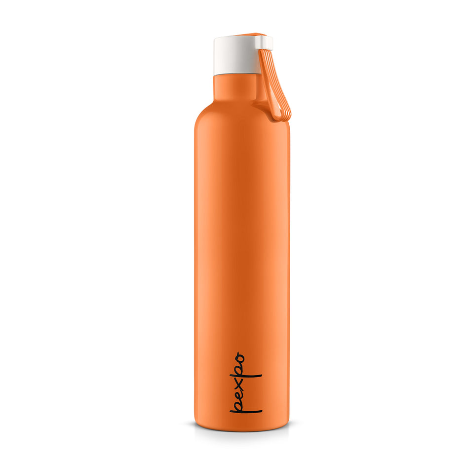 Buy Travel Bottles online at Best Prices – pexpo