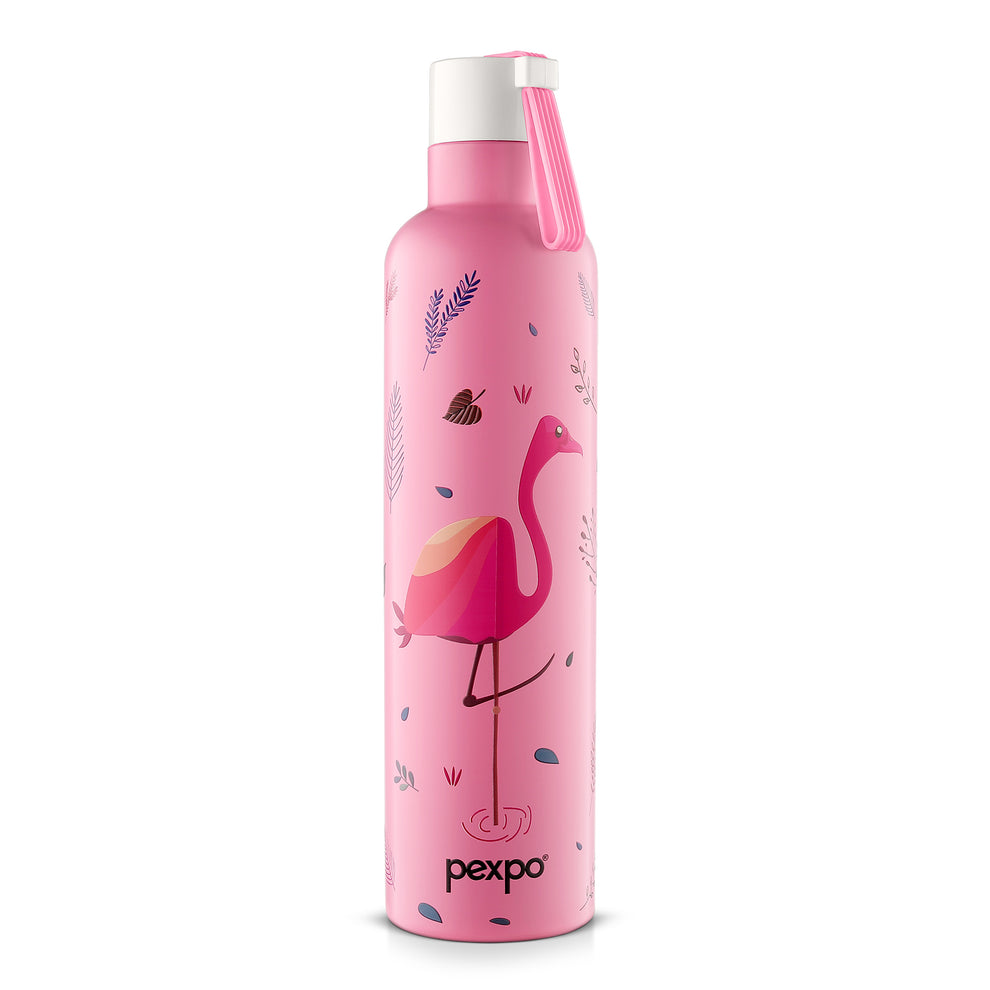 Oslo Pink Flamingo Print Hot & Cold Water Bottle – pexpo